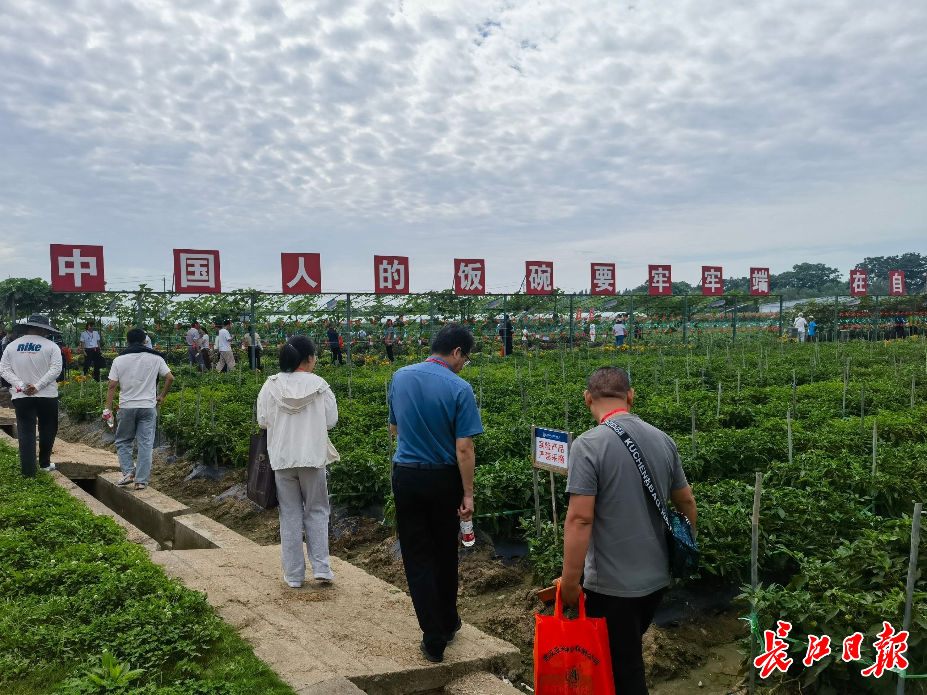 2024年武汉种博会签约金额超33亿元 - 武汉市人民政府门户网站